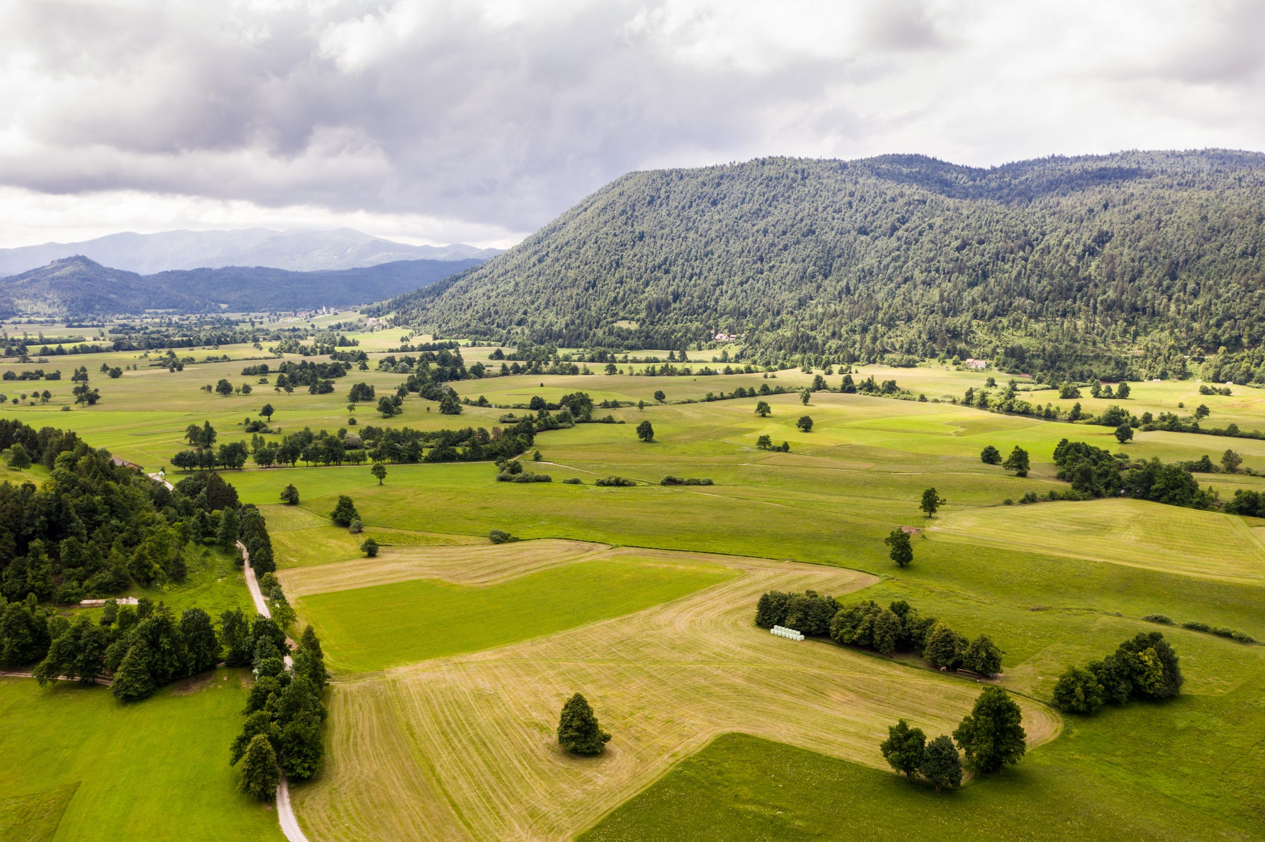 “Gura” that is not a “gora” - Visit Postojna